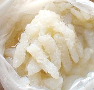 salted jellyfish | SAF Marine International